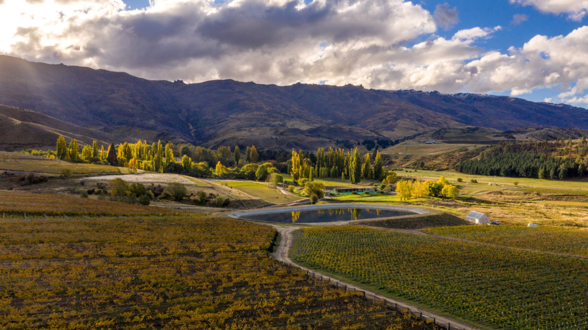 About - Smith & Sheth – Pyramidvalleyus